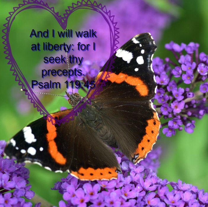 Diana Rockwell Redeemed By Christ Living Free Diana Rockwell Redeemed By Christ Living Free