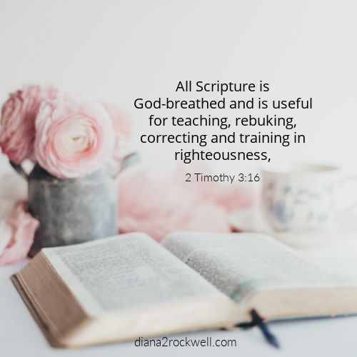 The Sword of God is the Rhema that nutures our soul. – Diana Rockwell