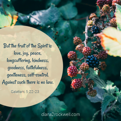 Adventures on The Dusty Road- Holy Spirit Fruit of Spirit. – Diana Rockwell
